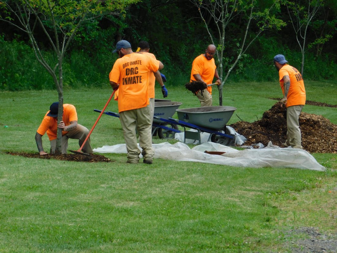 BCI inmates lend a hand landscaping | News, Sports, Jobs - The Times Leader